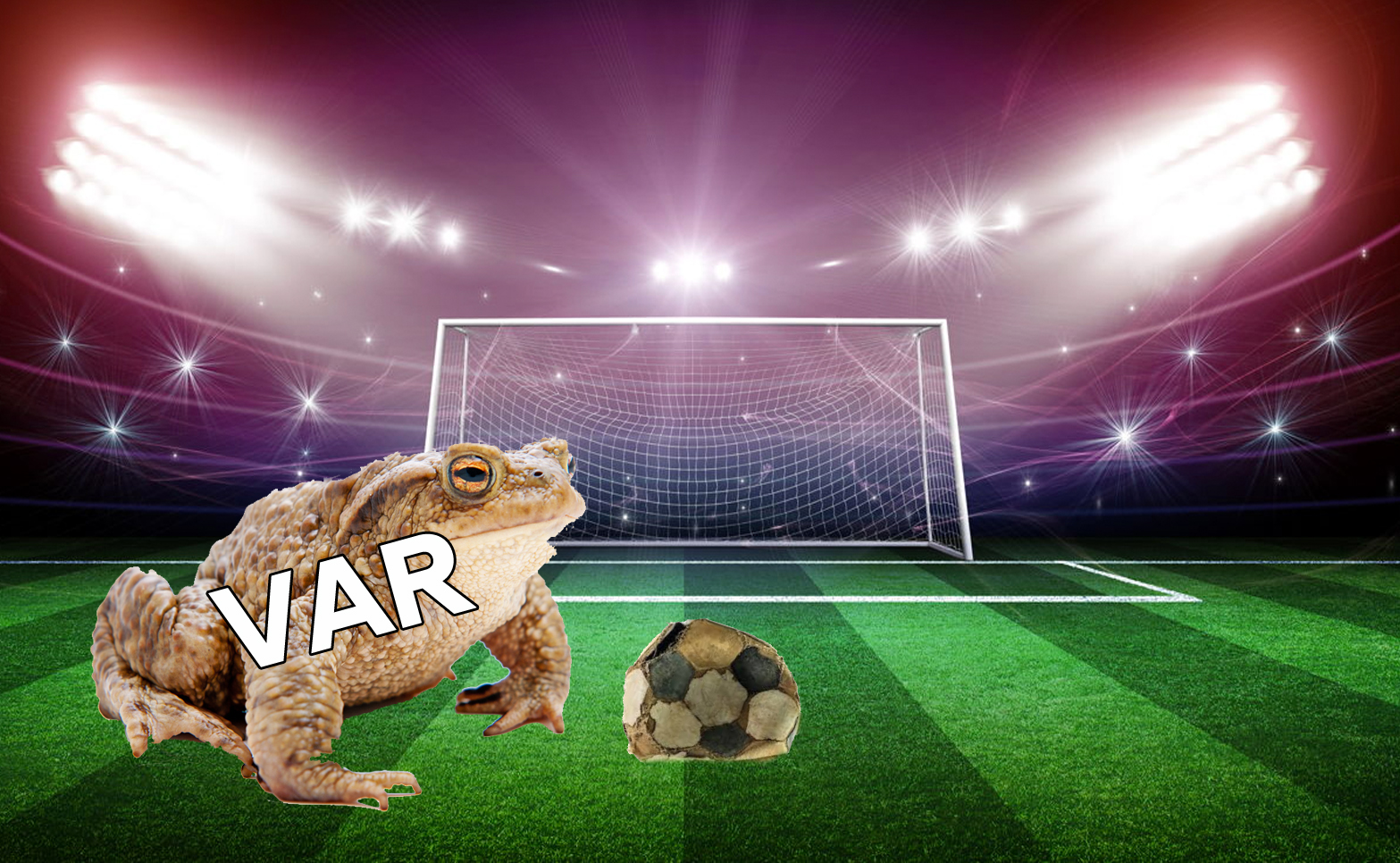 VAR… football’s cane toad? | Word Of Ross